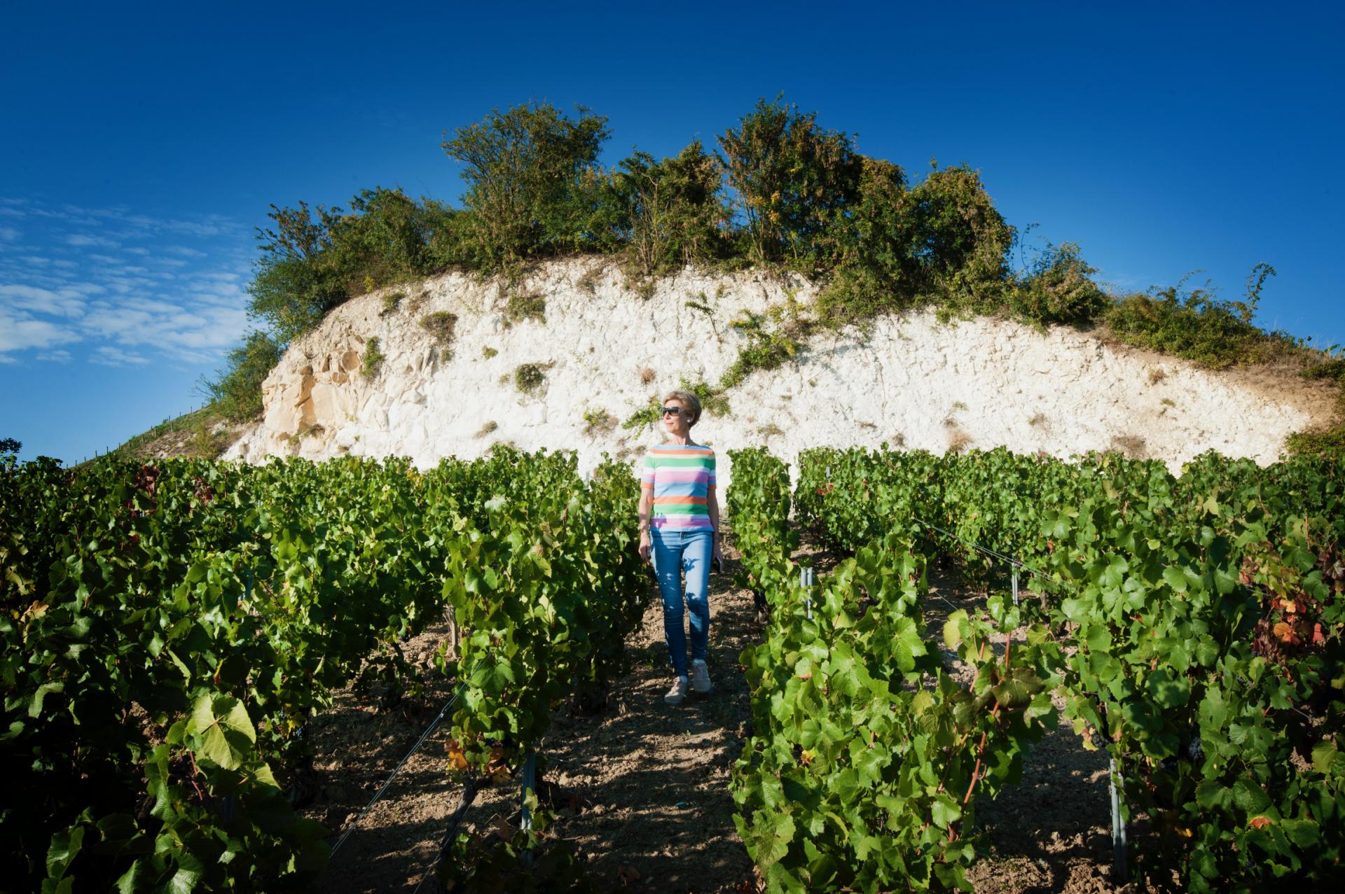 La craie en Champagne